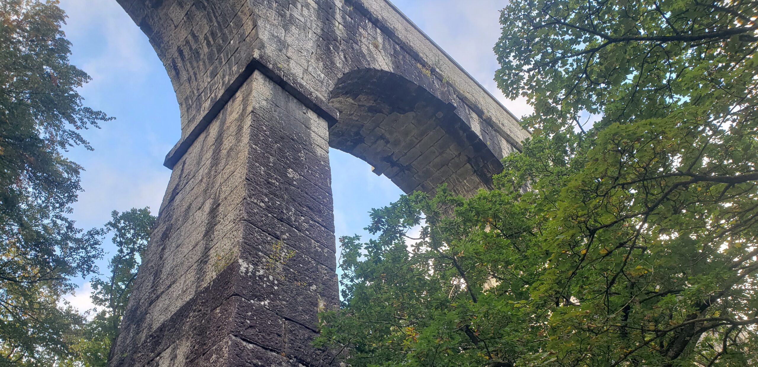 Treffry Viaduct - Cornwall Environmental Consultants