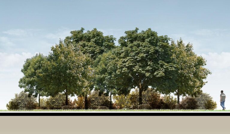 Tree Canopy Calculator - Cornwall Environmental Consultants